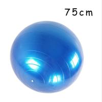 China RoHS Approval Anti Burst Yoga Stability Ball , 75 Cm Fitness Ball For Whole Body Exercise for sale