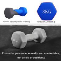 China RoHS Approval 1KG 2KG 3KG Fitness Dumbbell Rubber Hex Dumbbell Set for sale