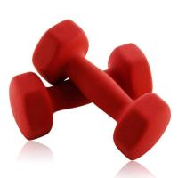 China Cast Iron Rubber Hexagon Dumbbell Sets Kit 0.5KG 0.75KG 1KG 2KG 3KG for sale