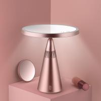 China Factory Price Three Colors Adjustable Brightness Blue tooth Ring Light Mirror for sale