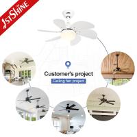 China White Ceiling Fan Light Kids' Room DC Motor 30 Inch Mini LED Ceiling Fan for sale