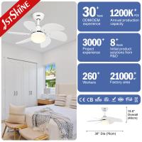 China White Ceiling Fan Light Kids' Room DC Motor 30 Inch Mini LED Ceiling Fan for sale