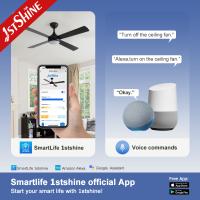 China Modern Ceiling Fan With Light Silent Motor Energy Saving Home Decoration for sale