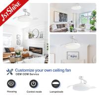 China 42 Inch Invisible Ceiling Fan with Starry Light and DC Motor for Quiet Efficient Cooling for sale