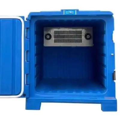 China 1.5m Cooler with 48V DC and Compressors Automatic Temperature Adjustment -5 Degree for Retail Home Use for sale