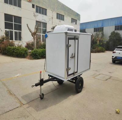 China Electric Cargo Mini Cold Room Tricycle with Trailer New Energy Vehicle for Frozen Food & Keep Warm Storage for sale