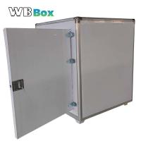 China Remedy Cold Chain Transport case / Dry Ice Transport Box Can Be Transport by air Truck Ship for sale