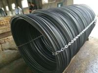 China Shot Blasting Machine PMW-4350 for Round Wire Rod Customization in Screw Industry for sale