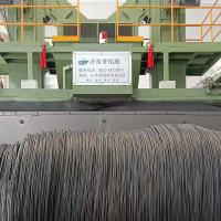 China 40-20RMB Double Position Turnover Door Wire Rod Shot Blasting Machine for Rust Removal for sale