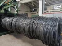 China One Year After-sales Service Wire Rod Coil Shot Blasting Machine with Rotary Abrator for sale