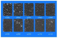 China Auto Parts Shotblast Application S550 Carbon Steel Shot with Strict and Low Consumption for sale