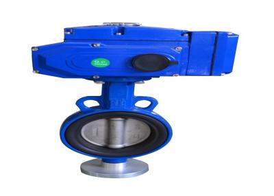 China Wafer Gear Type Large SS304 Manual Butterfly Valve for sale