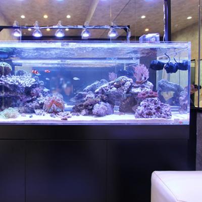 China 92% Transmission Clear Plastic Acrylic Sheet 1220x2440mm for Aquarium & Signage - 2mm to 5mm Thickness Options for sale