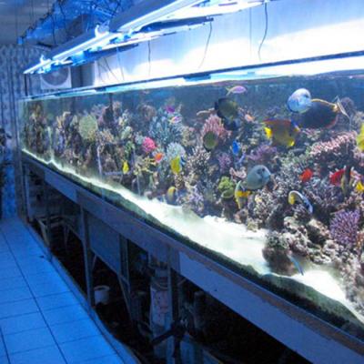 China 6mm Clear 93% Light Transmittance Acrylic Sheet for Aquariums and Swimming Pools - 2-40mm Thickness Options for sale