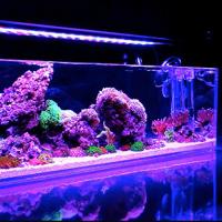 China Custom Color 12mm Aquarium Acrylic Sheets - 92% Light Transmission PMMA Plexiglass Panels 1220x2440mm for sale