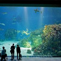 China UV Resistant 6mm Aquarium Acrylic Sheet - 92% Light Transmission, Custom Sizes 1220x2440mm for sale