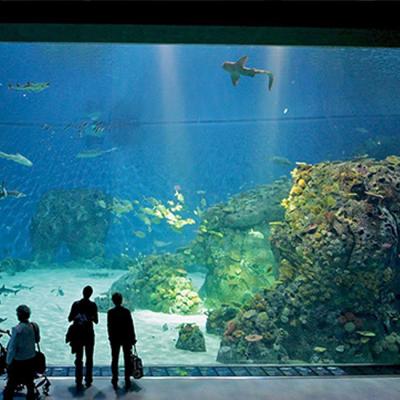 China UV Resistant 6mm Aquarium Acrylic Sheet - 92% Light Transmission, Custom Sizes 1220x2440mm for sale