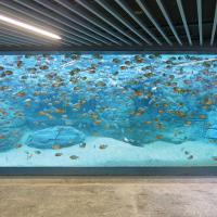 China Custom Acrylic Aquarium Panels 40-150mm Thickness with ISO/CE/UL Certification for Swimming Pools and Custom Applications for sale