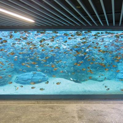 China Custom Acrylic Aquarium Panels 40-150mm Thickness with ISO/CE/UL Certification for Swimming Pools and Custom Applications for sale
