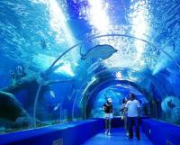 China Heavy Duty Cast Acrylic Sheet 40-150mm Thick Transparent Panel for Aquarium Oceanarium Tunnel Windows for sale