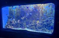 China Heavy Duty Cast Acrylic Sheet 40-150mm Thick Transparent Panel for Aquarium Oceanarium Tunnel Windows for sale