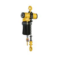 China Lifting Cargo Pneumatic Chain Hoist 1-50 Ton For Mining Easy Maintenance for sale