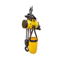 China Air Power Pneumatic Electric Chain Block 5 Ton High Lifting Capacity Easy Maintenance for sale