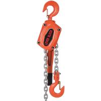 China Steel Lifting Forged Hook 2 Ton G80 Chain Pulley Hoist for sale