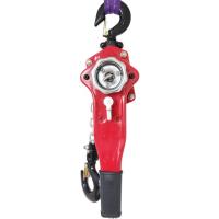 China Forged Hook Hand Operated G80 9t Manual Lever Hoist for sale