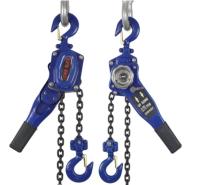China Forged Hook Hand Operated G80 9t Manual Lever Hoist for sale