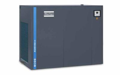 China Atlas Copco Oil-Free Screw Air Compressor AQ15-55 VSD for sale