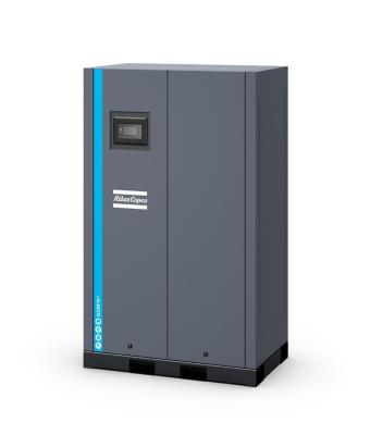 China Chinese Standard Engine Driven Membrane Nitrogen Generator With 95-99.5% Purity for sale