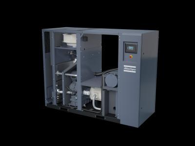 China Atlas ZR 30-45 Oil Free Screw Air Compressor for sale