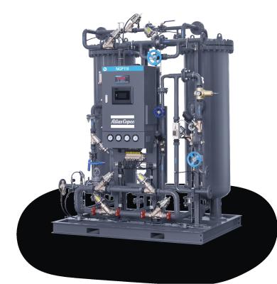 China PSA Nitrogen Generator NGP 110 Featuring High Reliability Nitrogen Generation Technology for Industrial for sale