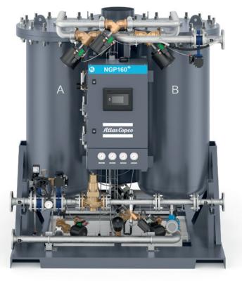 China PSA Nitrogen GeneratorNGP 160+ Offering Flexible Capacity for Diverse Industrial Applications for sale