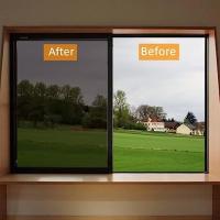 China Titanium Silver Reflective Window Film Privacy Tinted Mirror Glass Film Decorative for sale