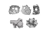 China OEM Customized Precision Casting Paint Process High Pressure Aluminum Die-Casting Component Radiator Shell for sale