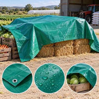China Lightweight 120gsm Waterproof Tarpaulin Sheet For Agricultural Crop Protection for sale