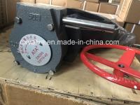 China Water Industrial Usage Butterfly Valve in Year with Cast Iron Handle and PVC Body for sale
