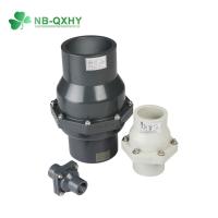 China Pn10 200psi PVC Wafer Check Valve with Customized Request Option for sale