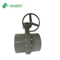 China Irrigation PVC Plastic One-Piece Butterfly with Gear Type and Stainless Steel Handle for sale