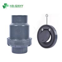 China Customization DIN JIS ANSI Standard Plastic Check Valve for Water Industrial Usage for sale