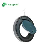 China White UPVC Wafer Check Valve 2