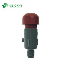 China Plastic Straight Through Type Exhaust Valve Automatic Black Air Vent Valve Form Nb-Qxhy for sale