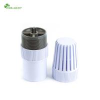 China Plumbing Material Plastic PVC Foot Valve with Socket and Threaded Nominal Pressure Pn10 for sale