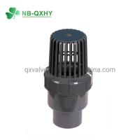 China Transparent Filter Equal Pn16 UPVC Pipes Fitting for Industrial Applications for sale