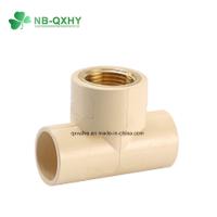China ASTM Standard Pn16 CPVC Female Tee Brass Water Supply Type Cap and So on for Your for sale