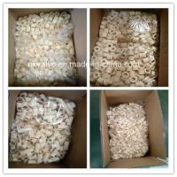 China Water Supply ASTM D2846 Flange PVC Equal Tee Adapter with Equal Size CPVC Pipe Fittings for sale