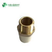 China Round Head Code Male Brass CPVC Adapter for Irrigation Anti-UV 1/2 prime prime Thread for sale