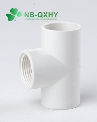 China Sch40 PVC Pipe Fitting Female Tee Equal Tee within QX Lateral 90° Tee for sale